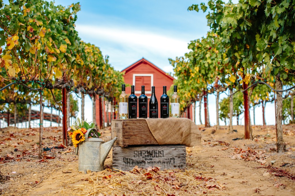 Wineries near me now Sonoma County