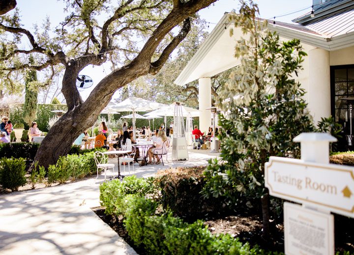 The Most Beautiful Wineries in Fredericksburg 2025 - Wine Routes