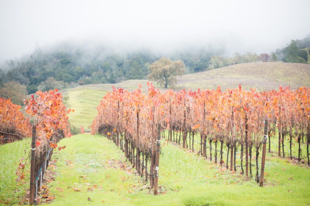 Sonoma County wine map|