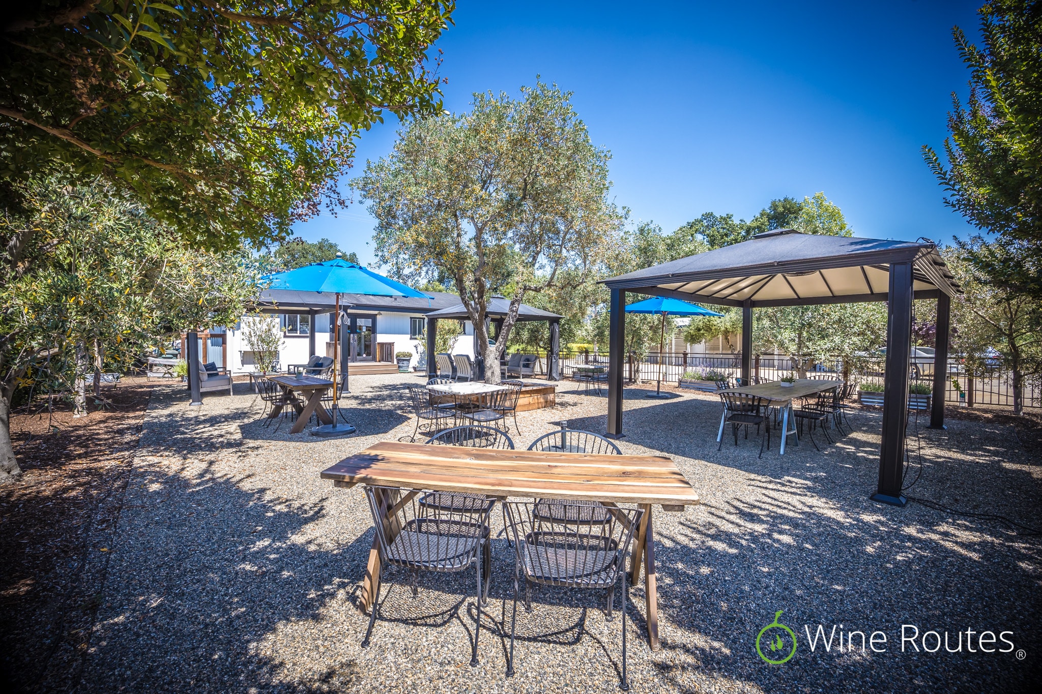 Hamilton Family Wines: A Love Story Written in Sonoma Valley - Wine Routes