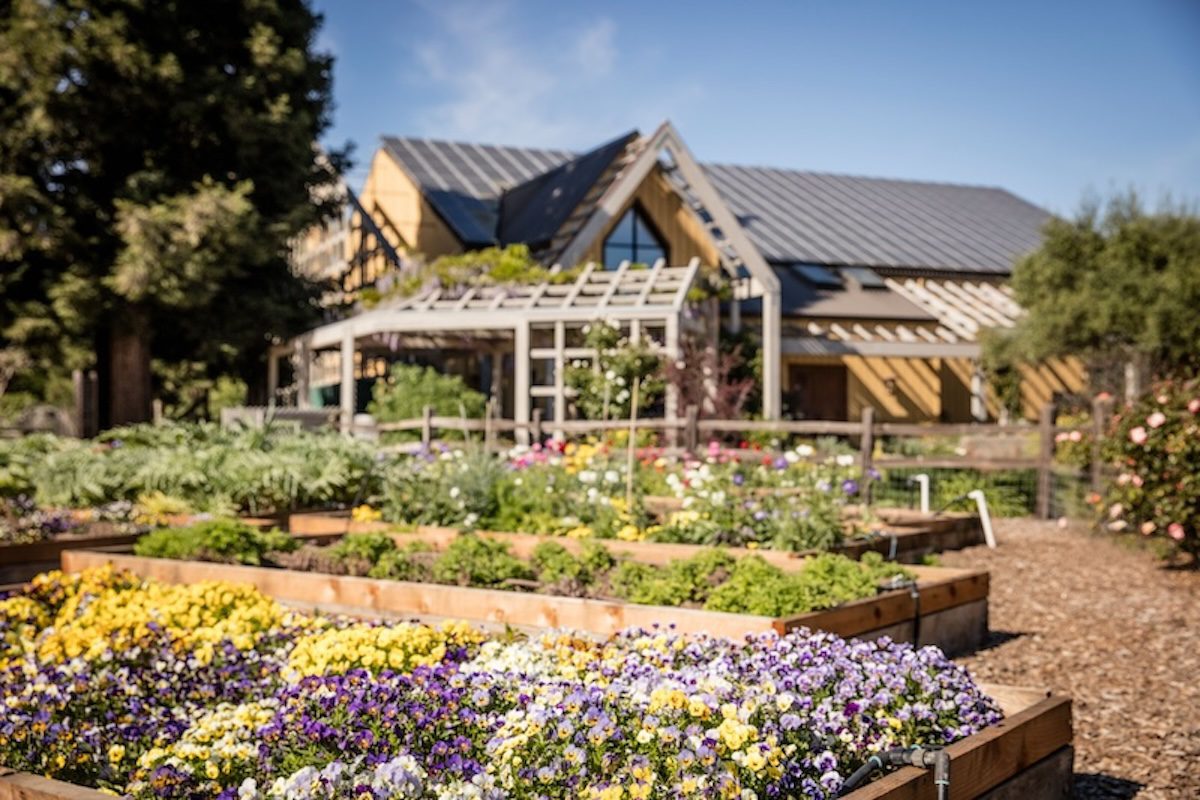 Wineries near me now Sonoma County