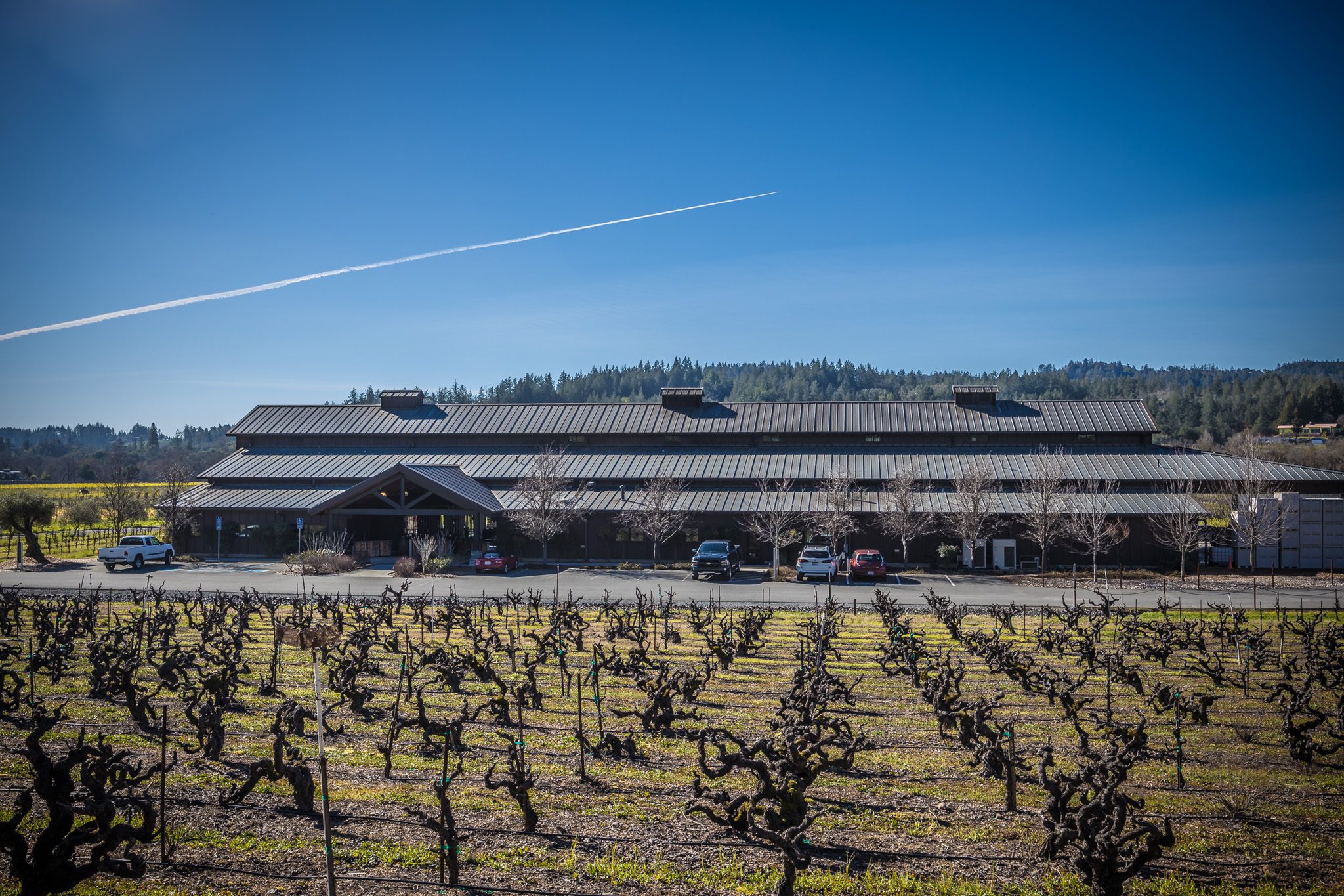 Wineries near me now Sonoma County